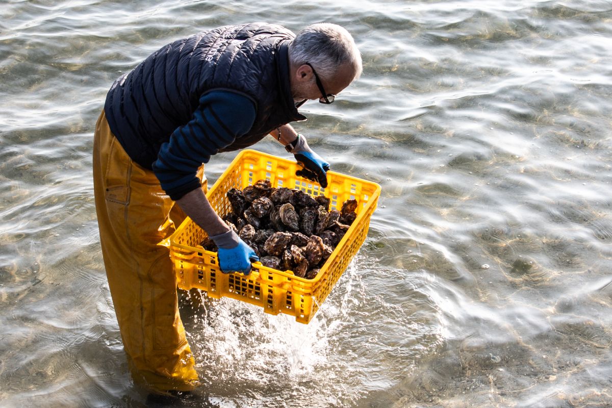 La Maison Reynaud - Spécialiste en produits de la mer