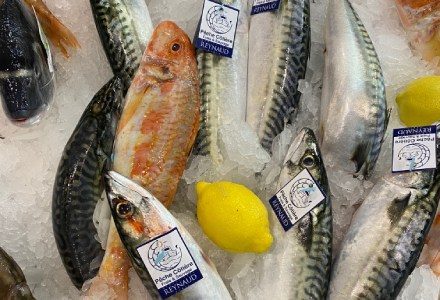 Maison Reynaud - Spécialiste en produits de la mer