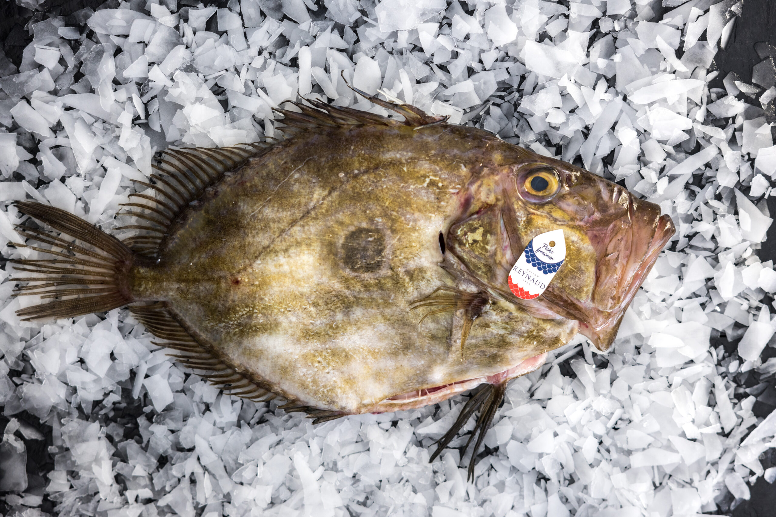 Maison Reynaud - Spécialiste en produits de la mer